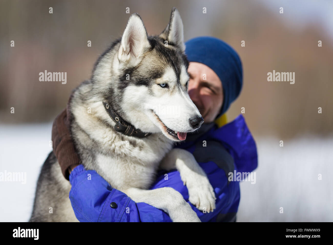 Happy man with a husky at winter time Stock Photo - Alamy