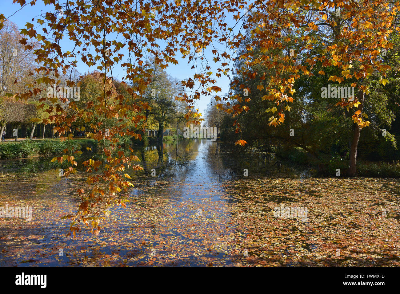 Pond and trees with fall foliage in France in department Ile-de-France ...