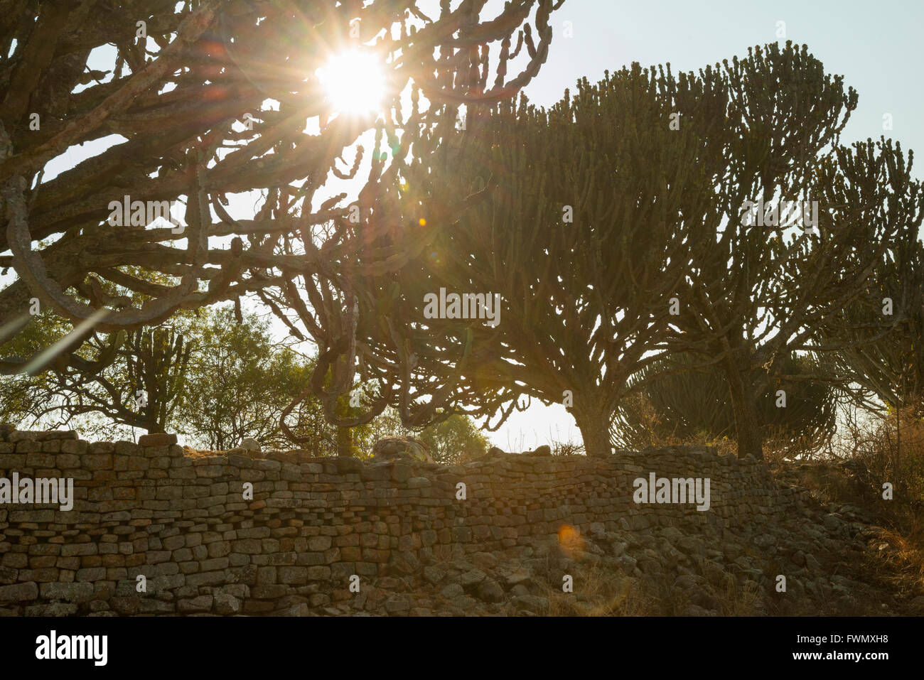 Torwa Dynasty High Resolution Stock Photography and Images - Alamy