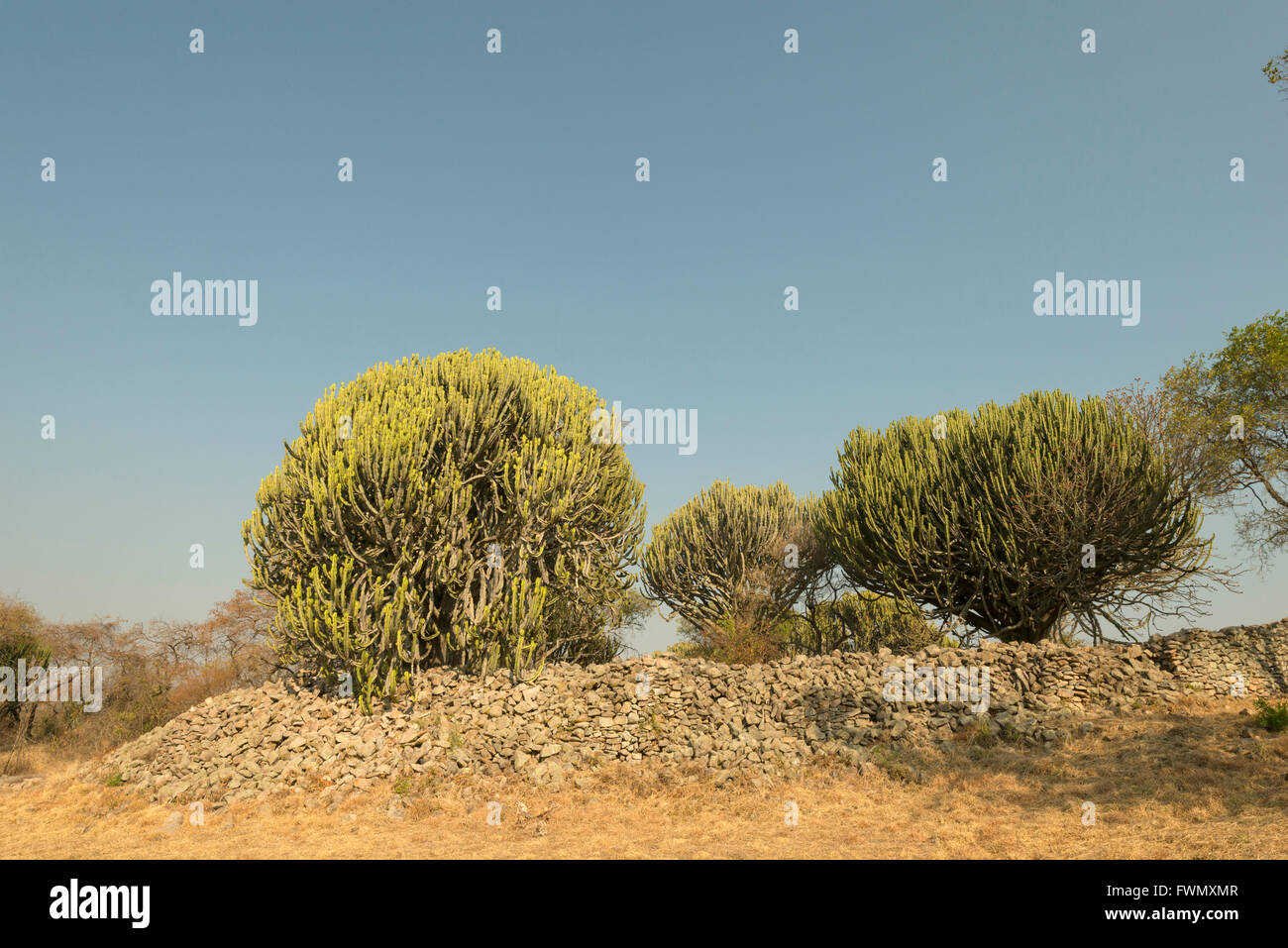 Kalanga people hi-res stock photography and images - Alamy