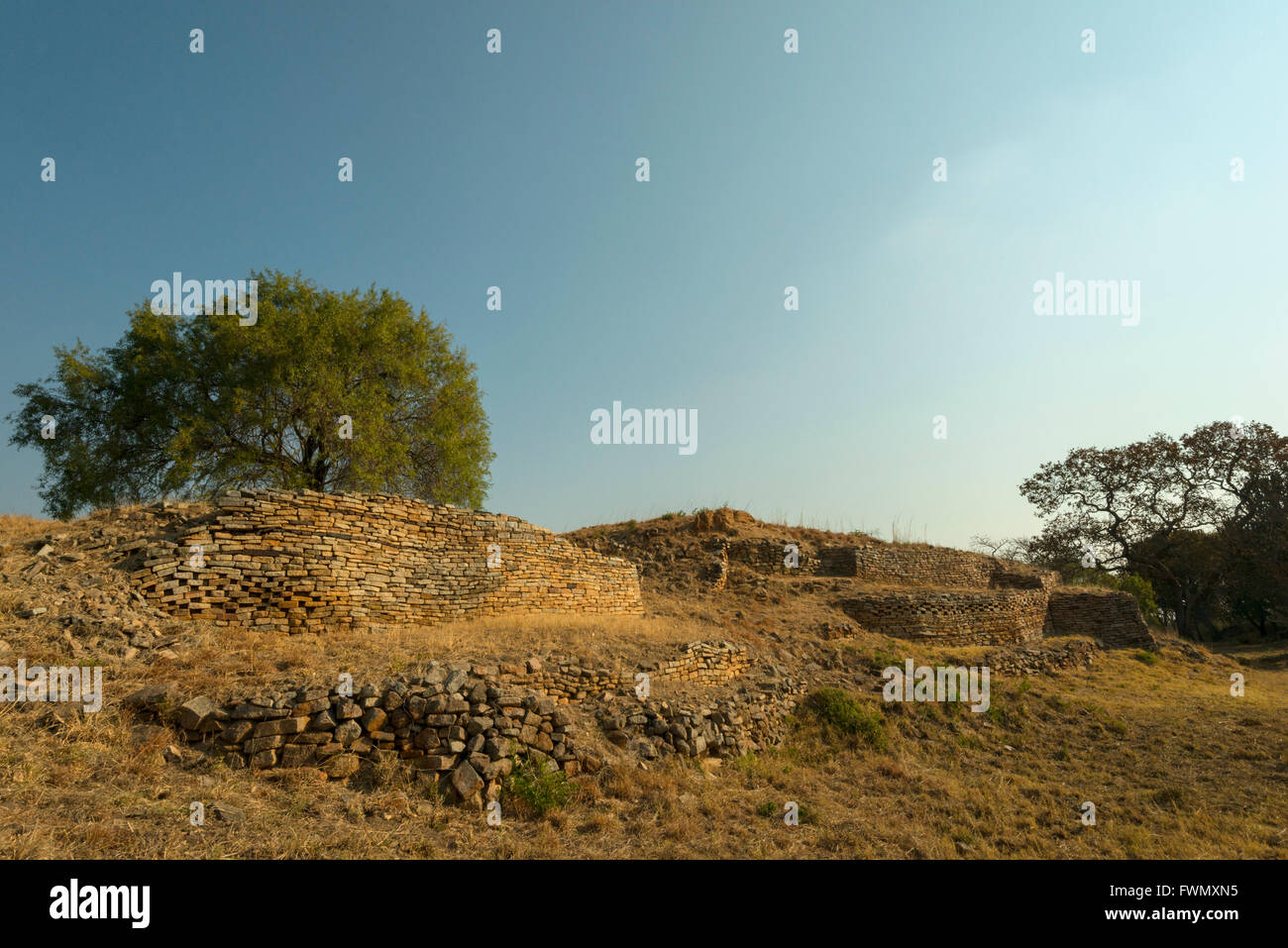 Dhlo hi-res stock photography and images - Alamy