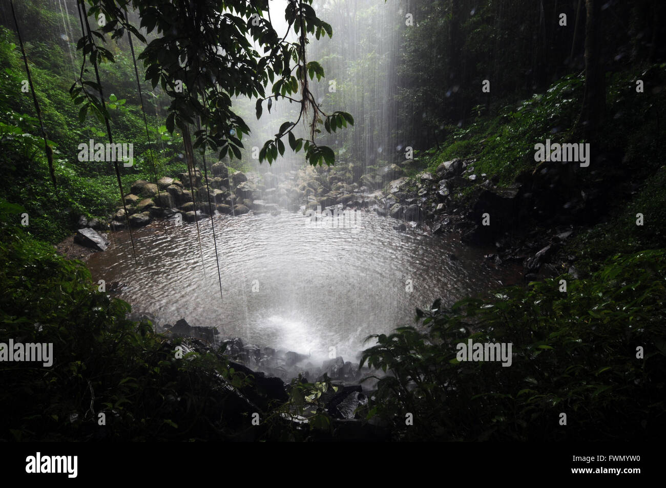 Rainforest waterfall australia hi-res stock photography and images - Alamy