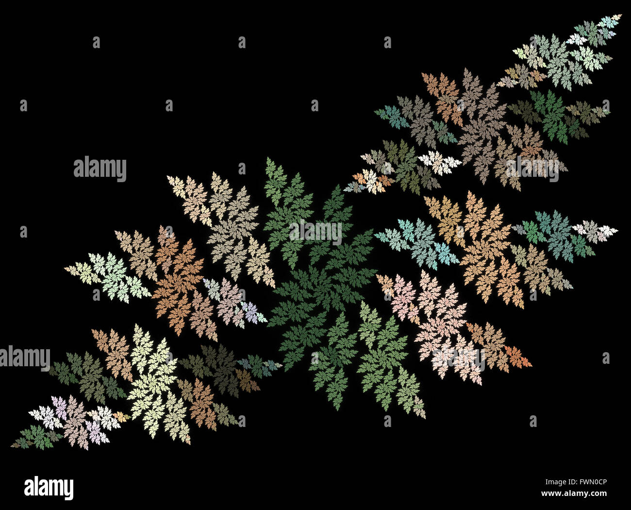 Mathematics of leaves hi-res stock photography and images - Alamy