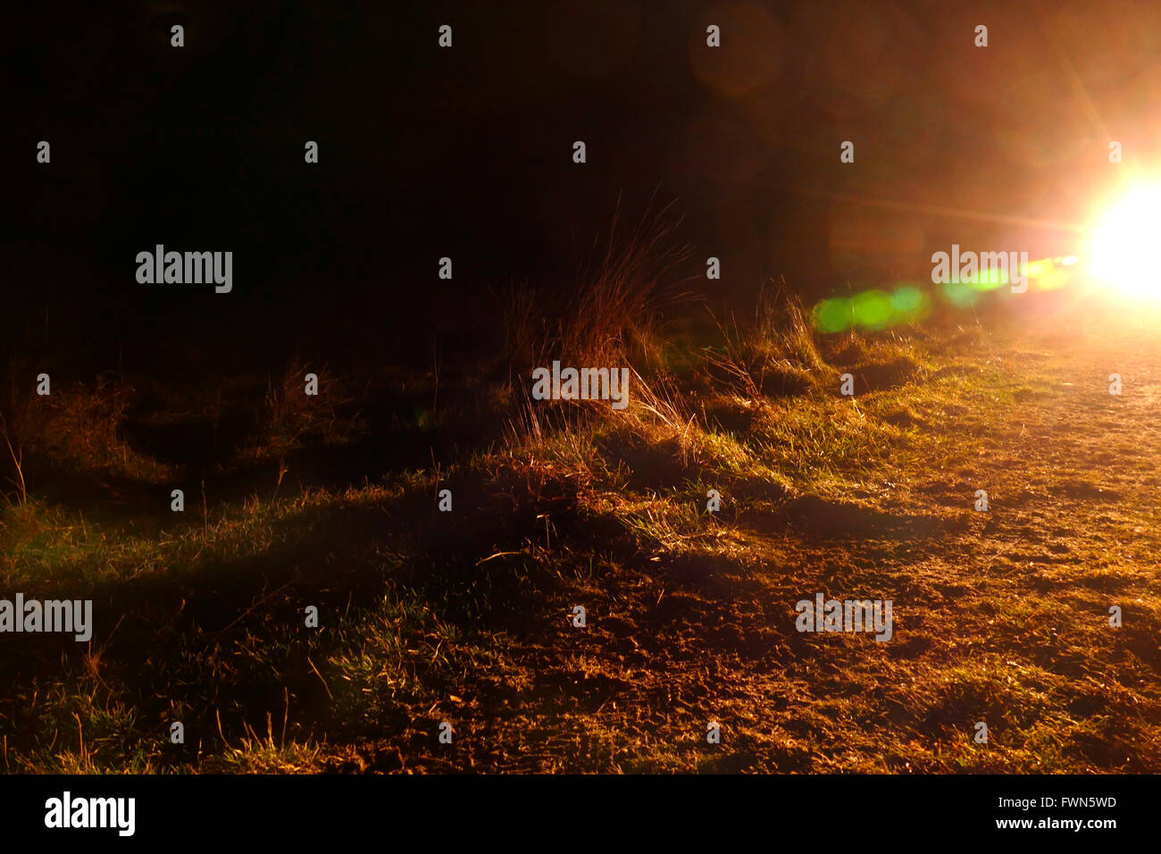 Night picture of a dirt road with grass headlights of a car and flash ...