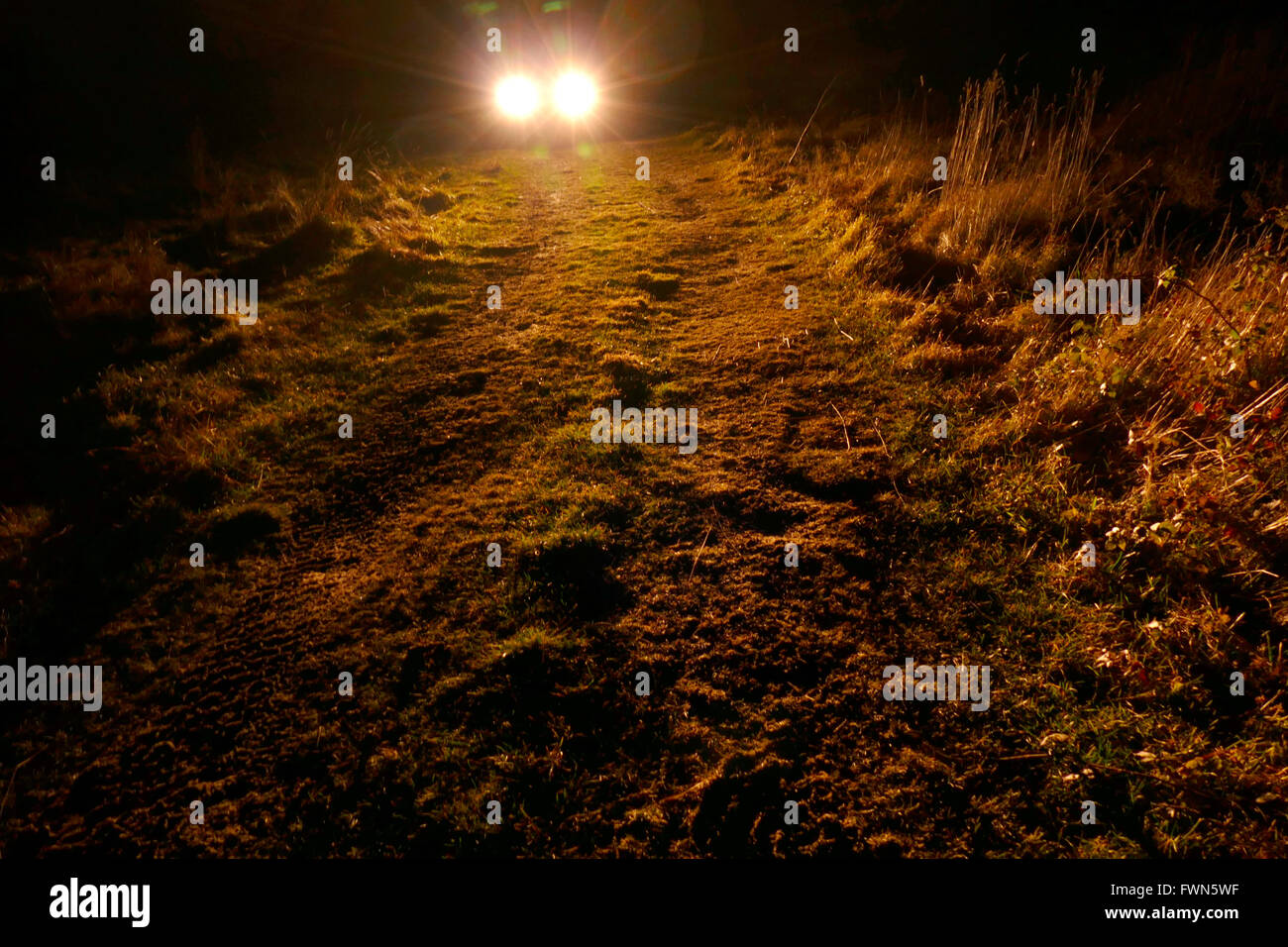 Night picture of a dirt road with grass headlights of a car and flash ...