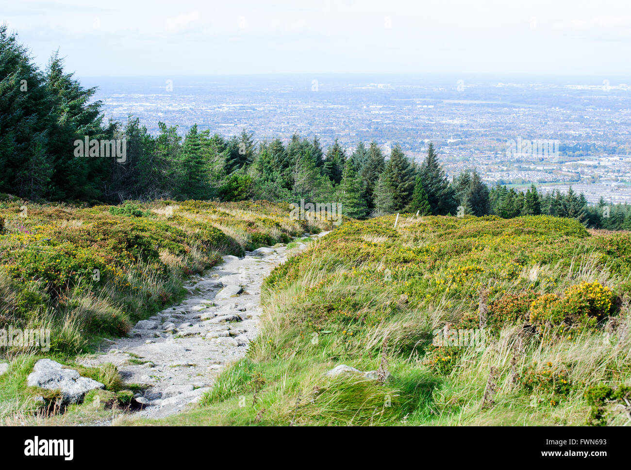 Wicklow way. Kilmashogue forest and Spectacular views of Dublin City ...