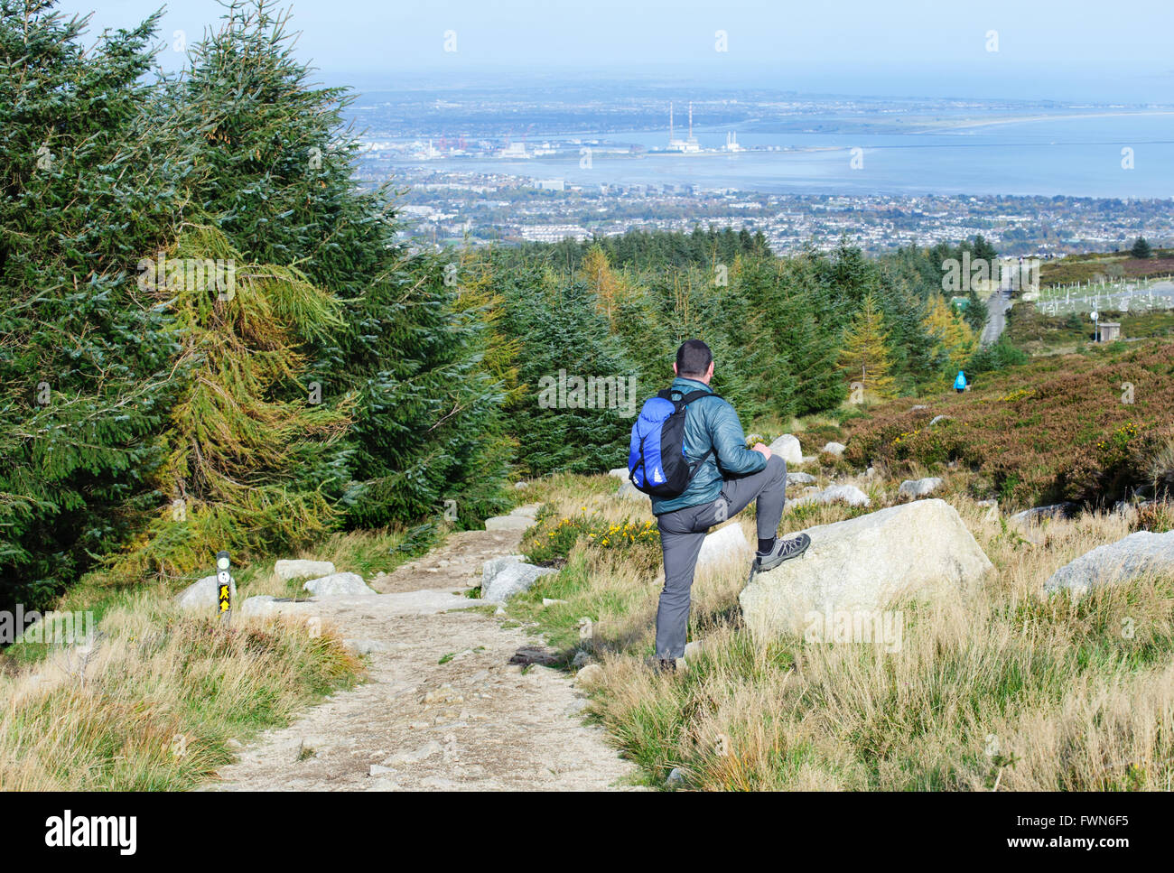 Wicklow way. Kilmashogue forest and Spectacular views of Dublin City ...