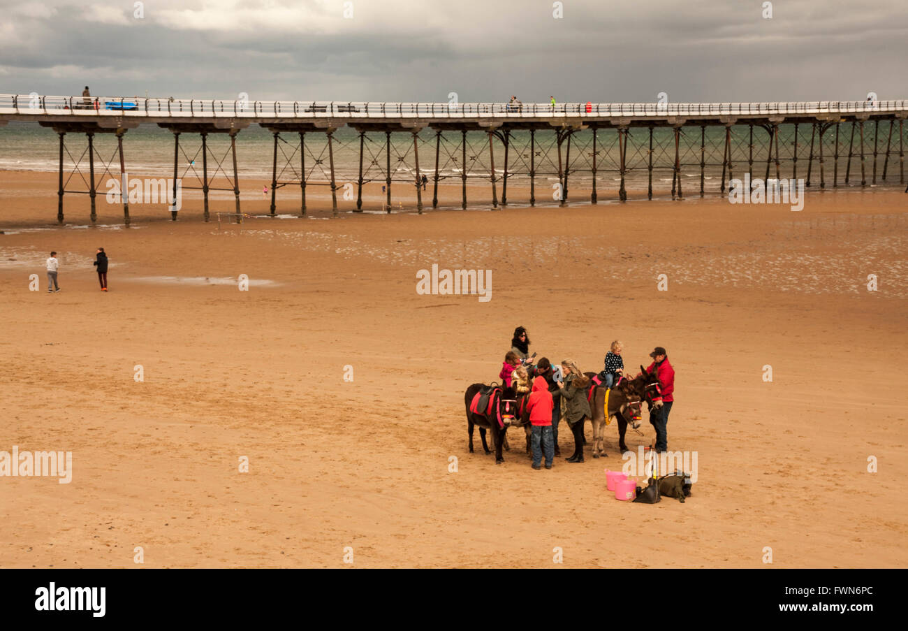 A scenic view of the beach at Saltburn by the Sea featuring the pier ...