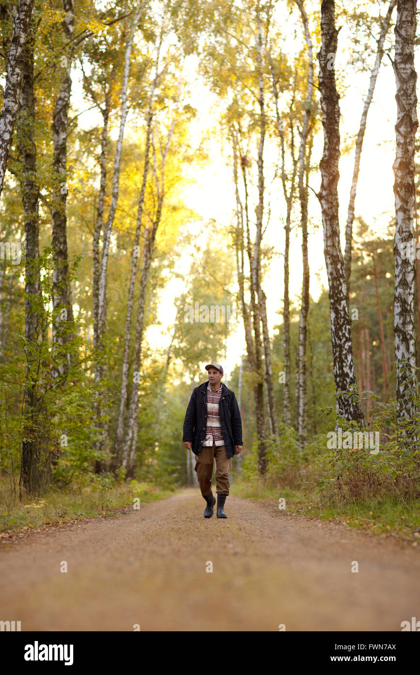 Silence of a morning forest walk Stock Photo - Alamy