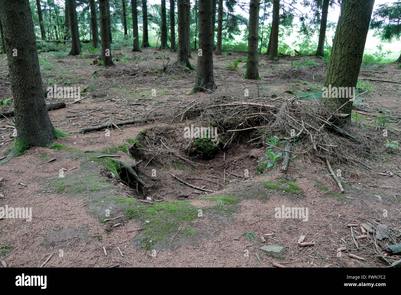 A re-excavated Easy Company foxhole (of "Band of Brothers" fame) in ...