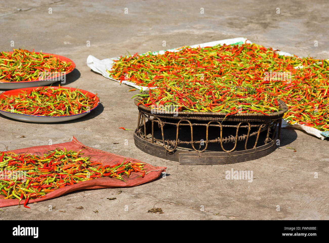 Drying Chili on the ground Stock Photo - Alamy