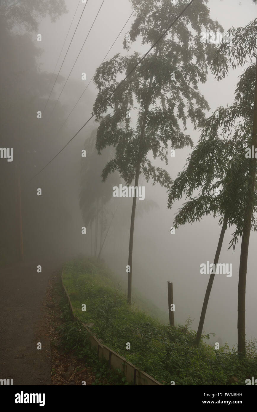 record our life Stock Photo - Alamy