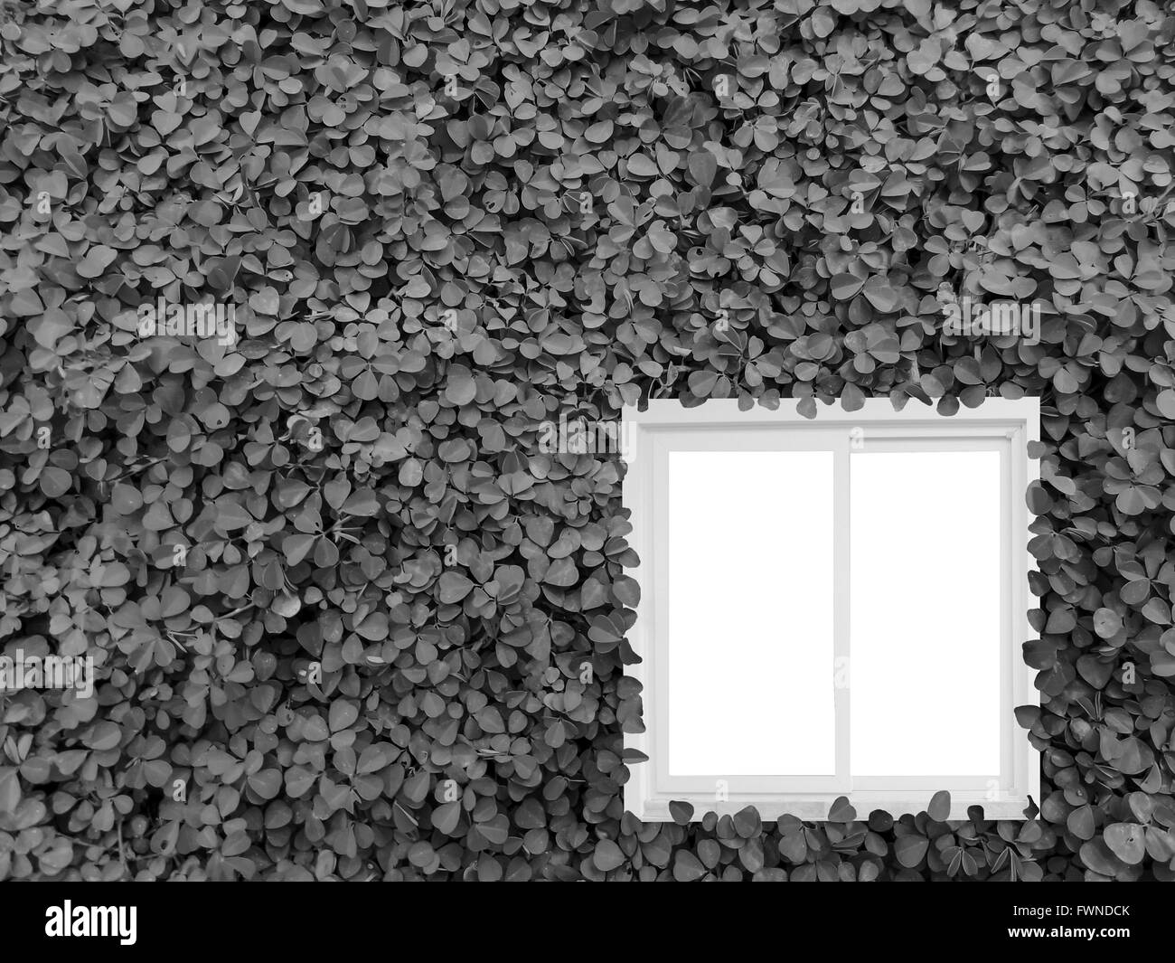 Background texture concept four Black and White Stock Photos & Images ...