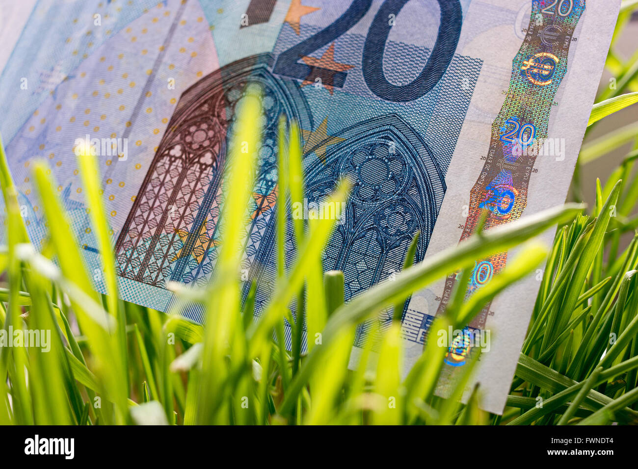 Green grass euro sign hi-res stock photography and images - Alamy