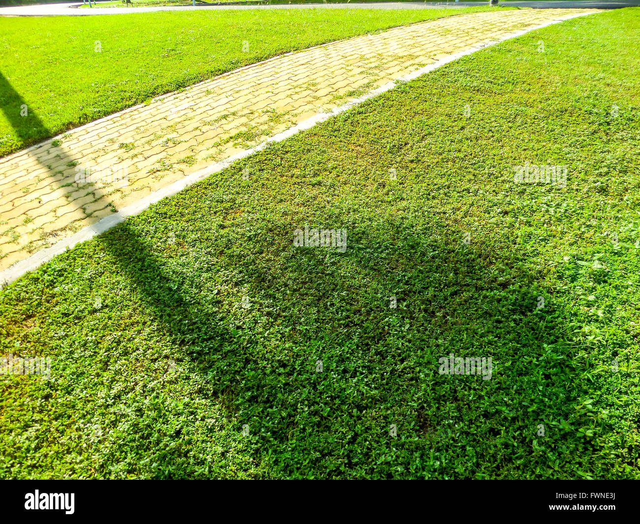 brick way sidewalk in the green garden Stock Photo - Alamy