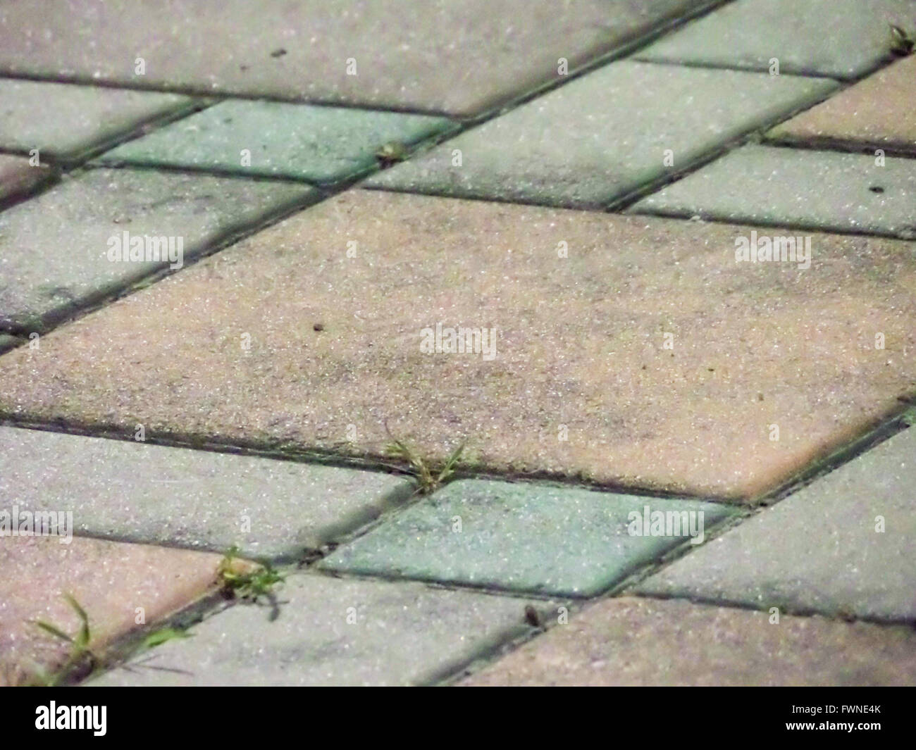 Concrete block floor on walkway and small grass Stock Photo - Alamy