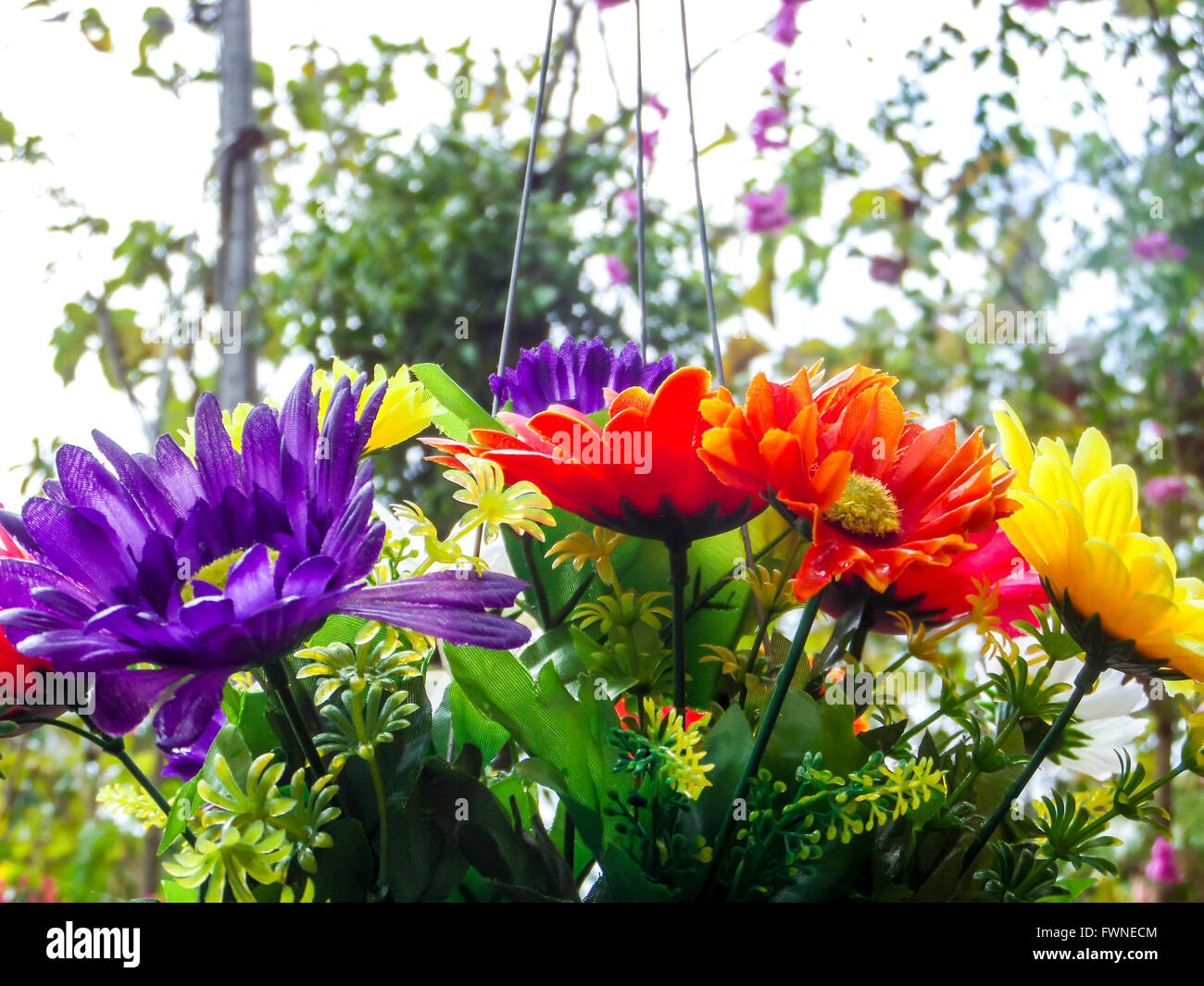 Rainbow flowers made by plastic use to decor and interior in the garden ...
