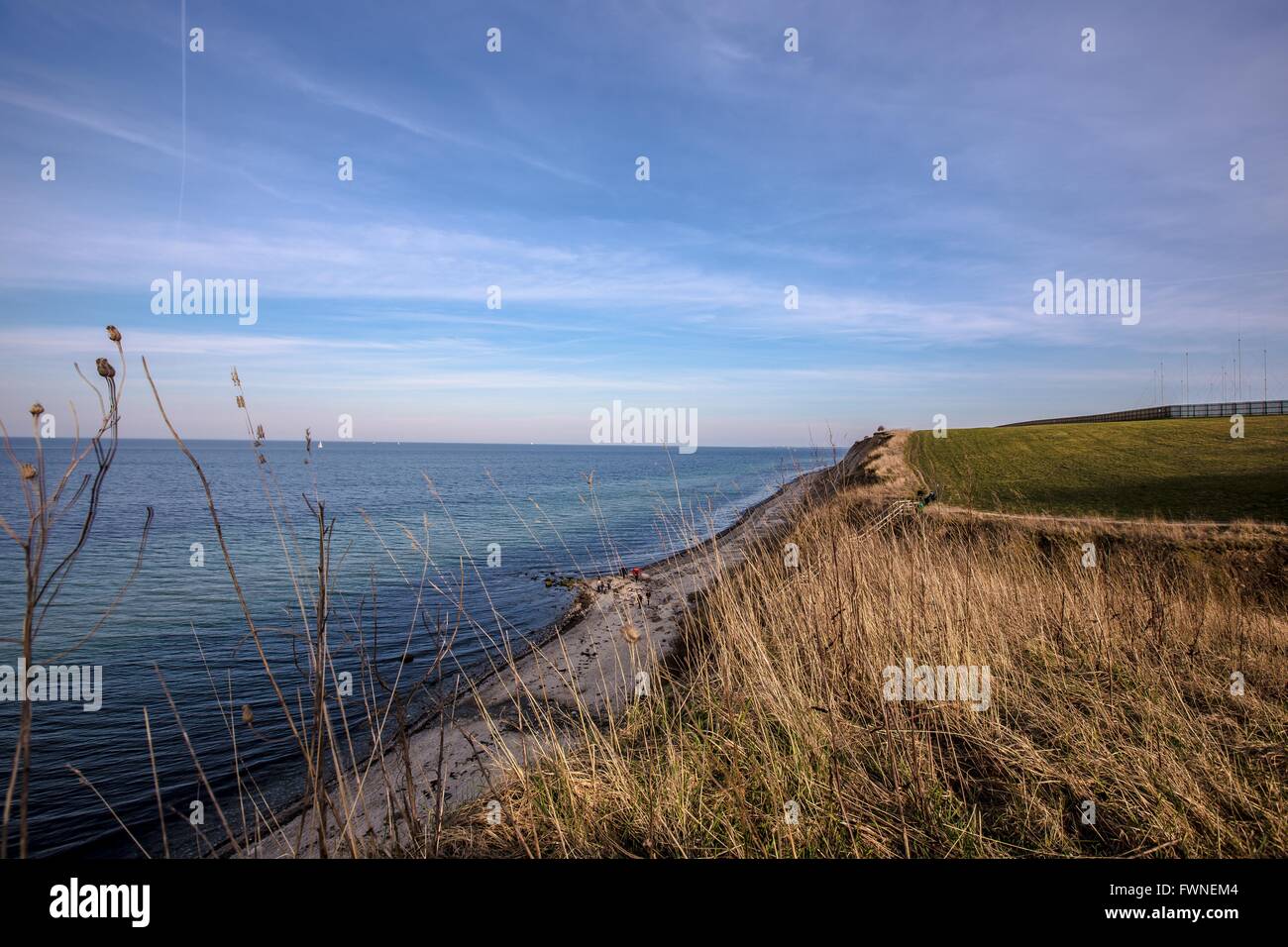 Chalk cliff coast beach hi-res stock photography and images - Alamy