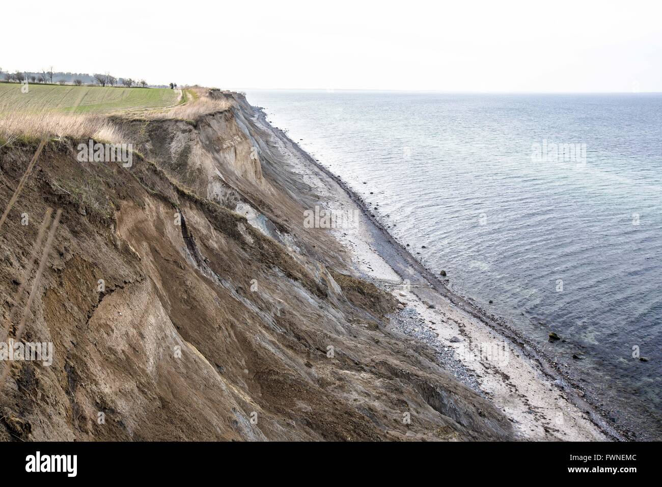 Cliff coast at the baltic sea in nothern germany Stock Photo - Alamy