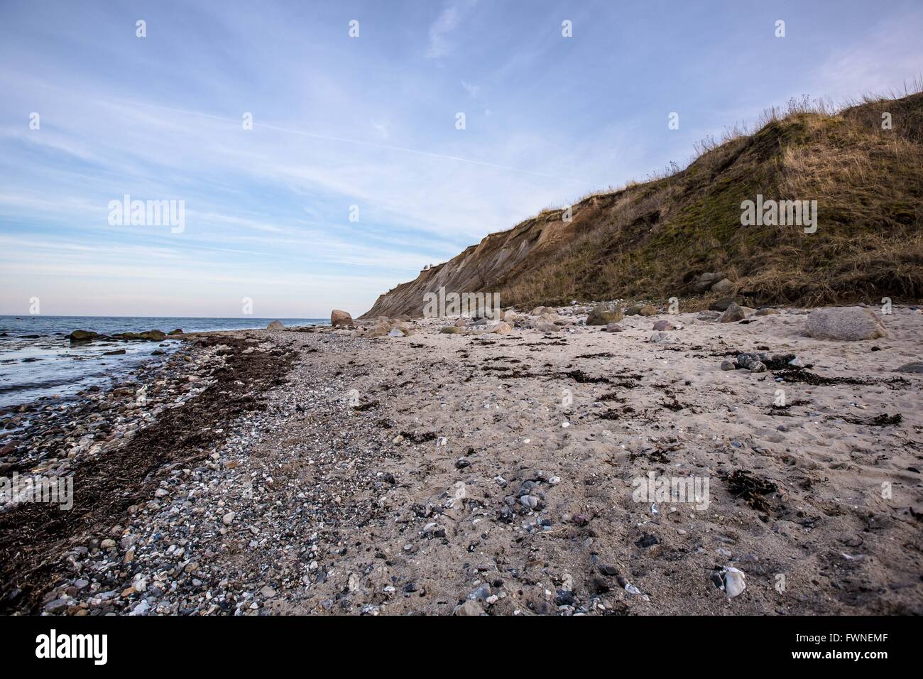 Cliff coast at the baltic sea in nothern germany Stock Photo - Alamy