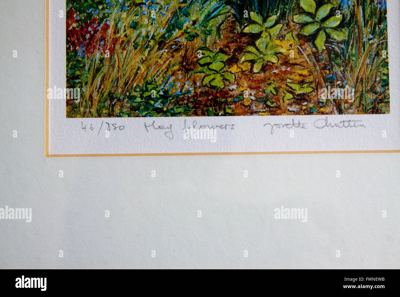 Artist Josette Chatten's signature on a numbered print Stock Photo - Alamy