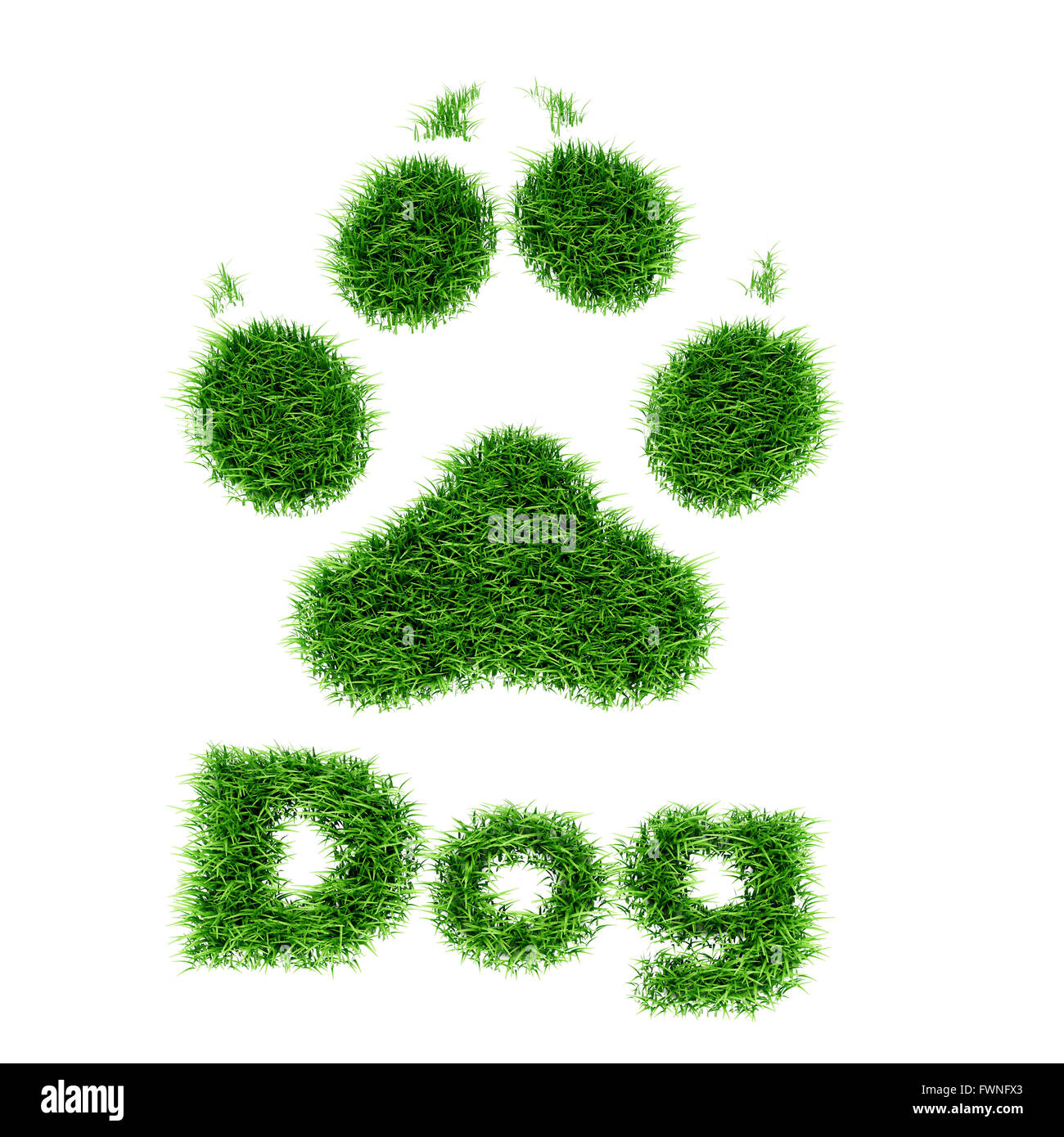 render of a footprint from grass, isolated on white Stock Photo - Alamy