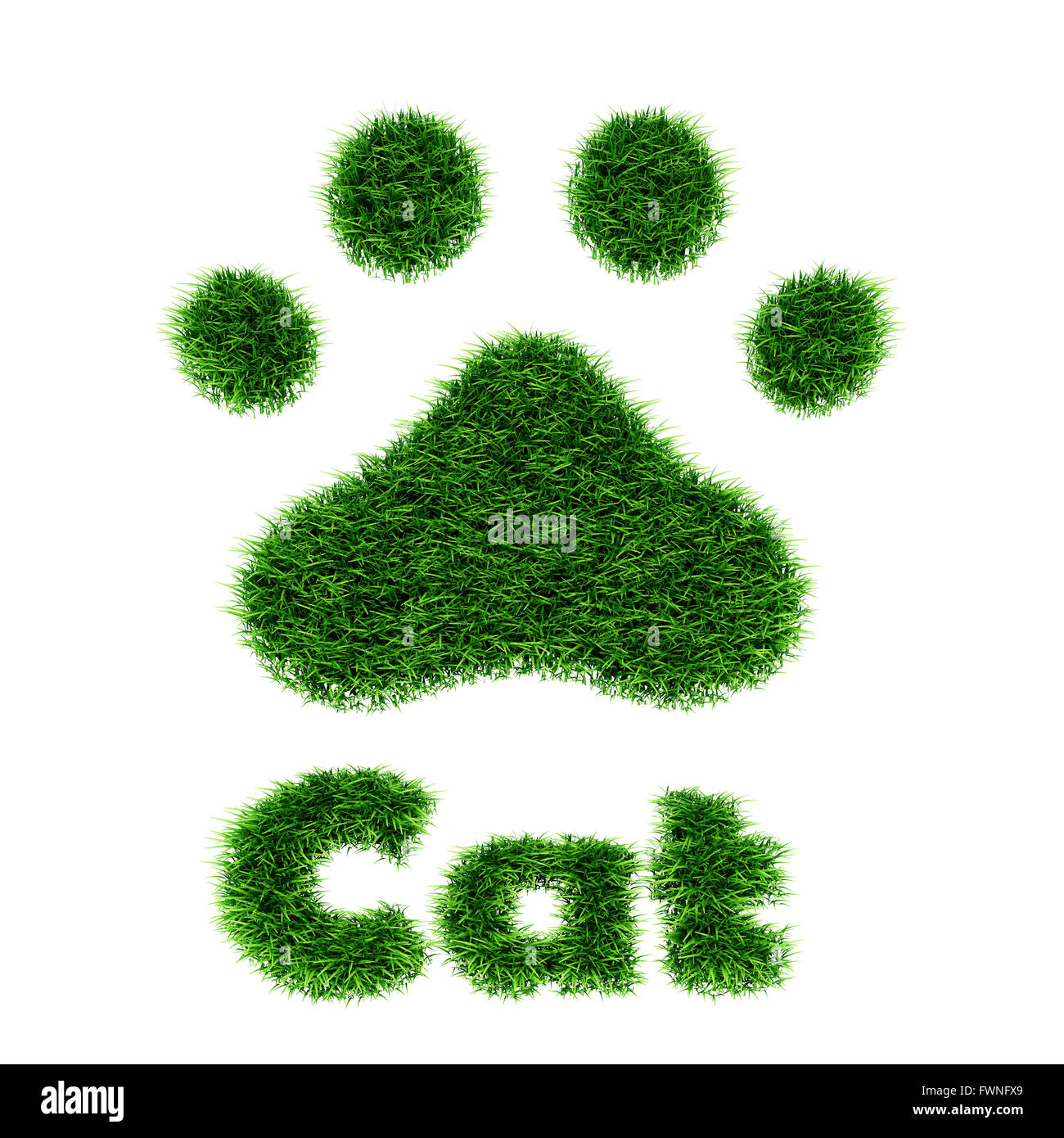 render of a footprint from grass, isolated on white Stock Photo - Alamy