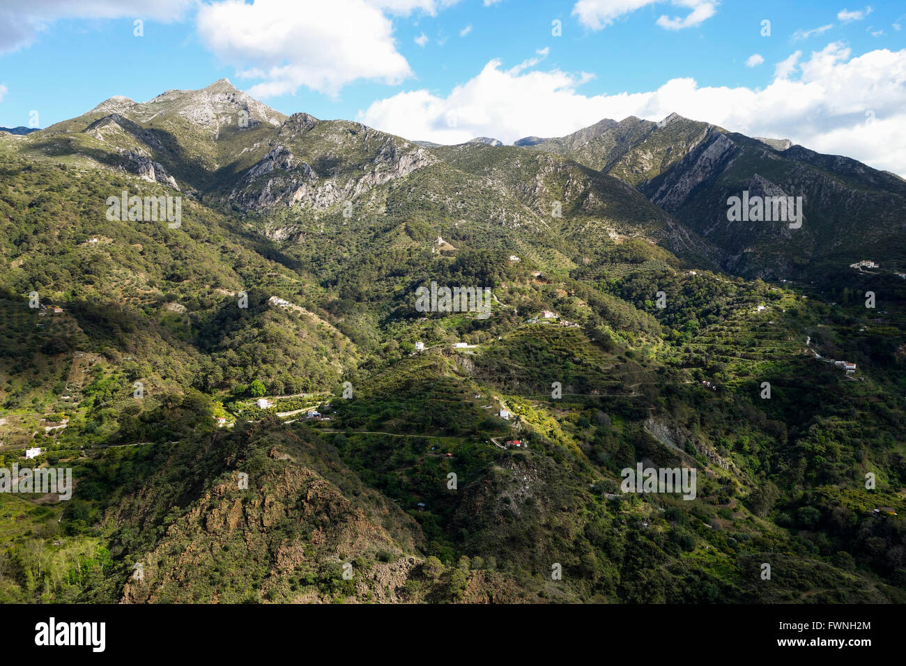 Andalusian countryside with Karstic Limestone mountain range behind ...