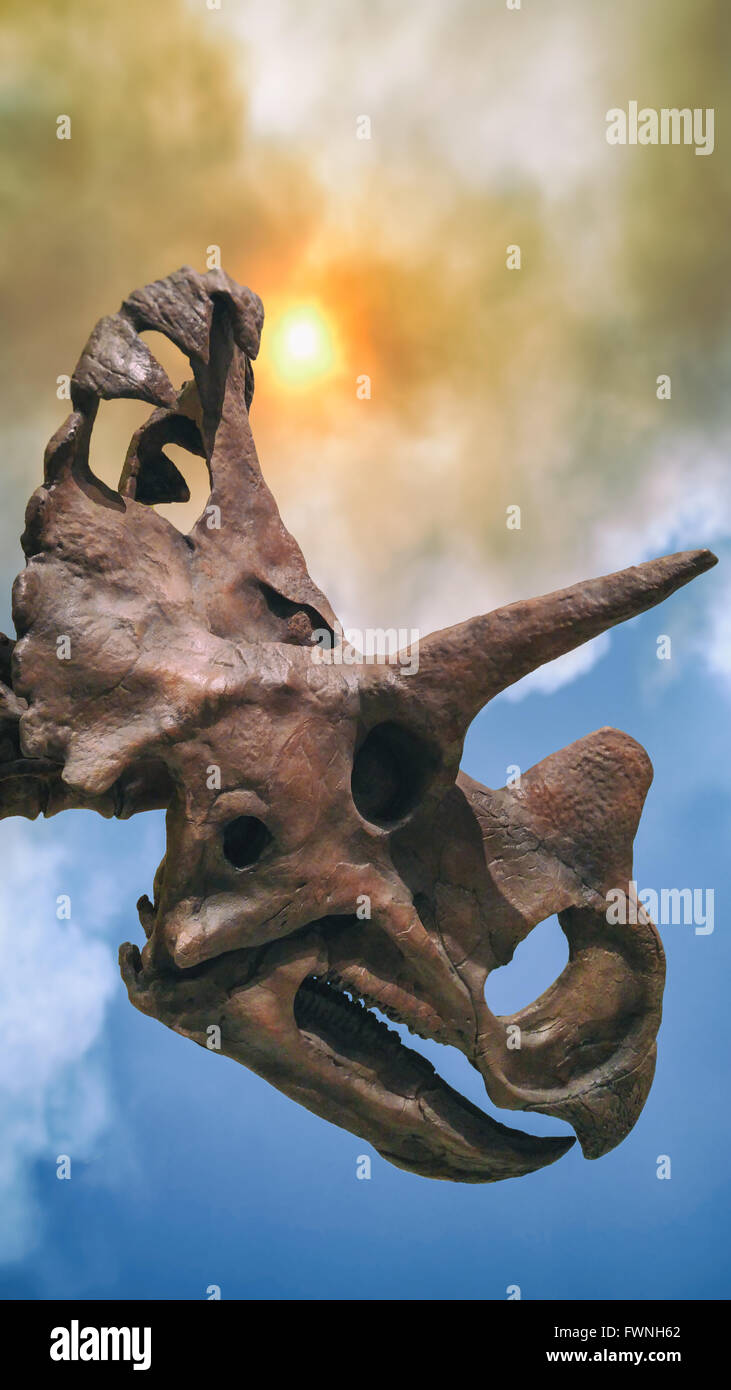 Cretaceous paleogene hi-res stock photography and images - Alamy