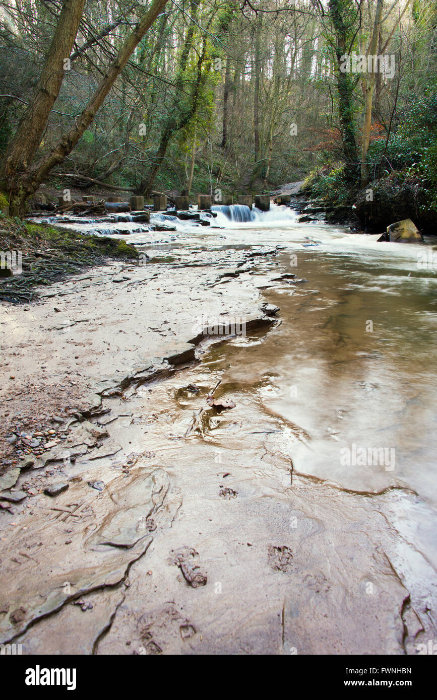 Saltburn Gill in winter. Mill Dam stepping stones Stock Photo - Alamy