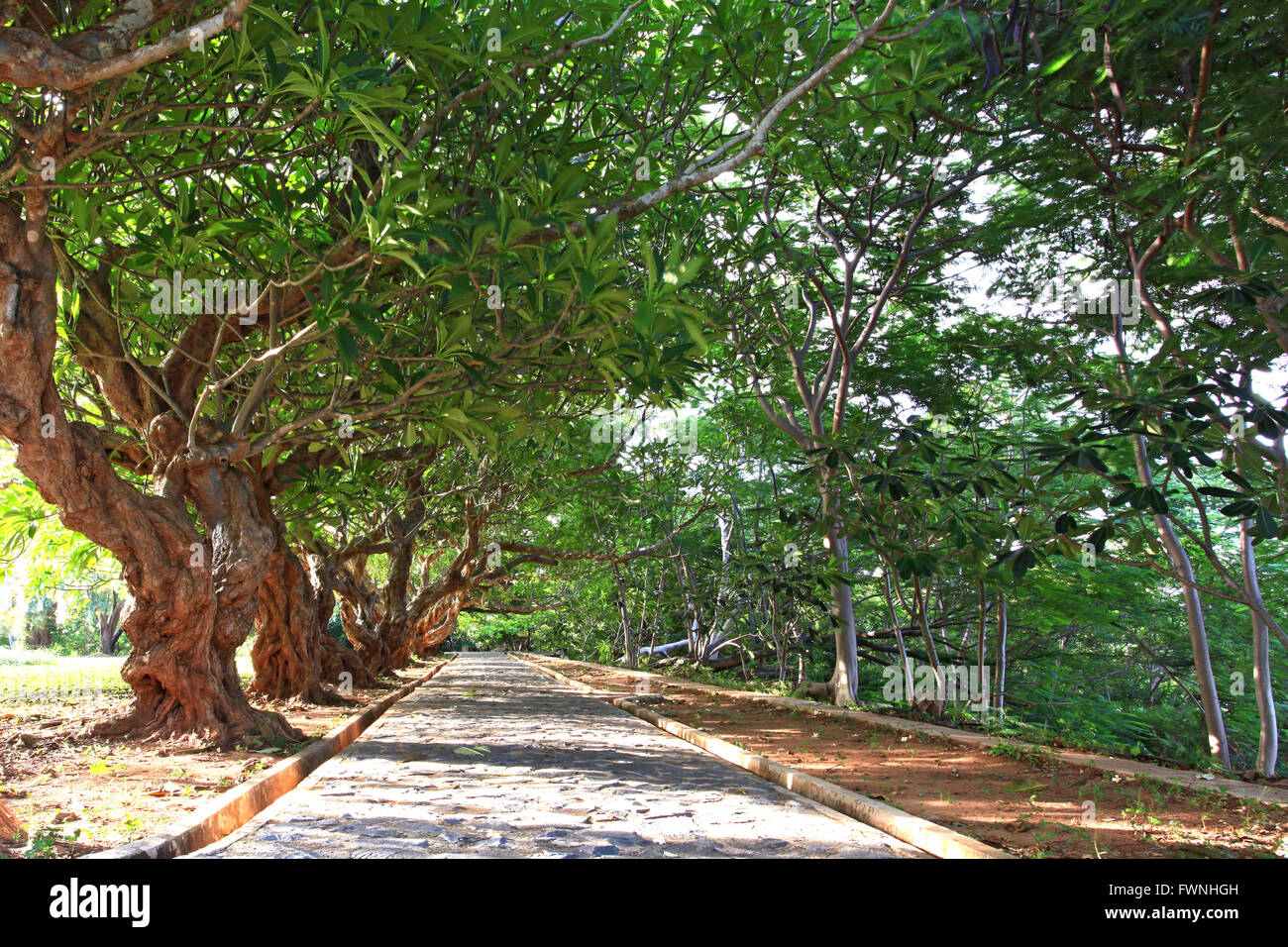 Pathway that runs parallel hi-res stock photography and images - Alamy
