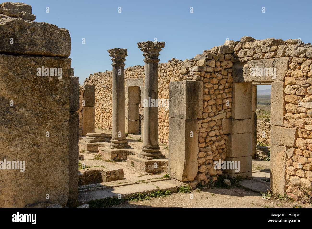 Roman ruins of Volubilis, near Meknès, Morocco Stock Photo - Alamy