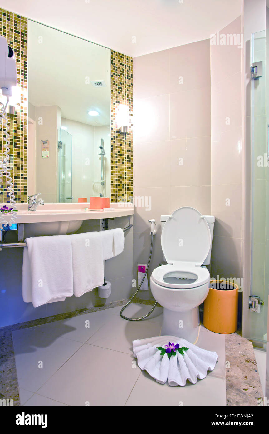beautiful modern architecture of Toilet Interior Stock Photo - Alamy
