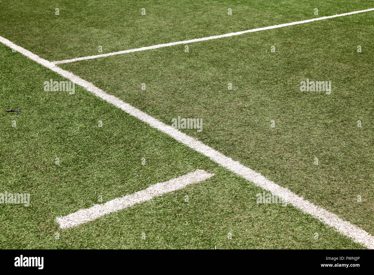 white line on soccer football field Stock Photo - Alamy