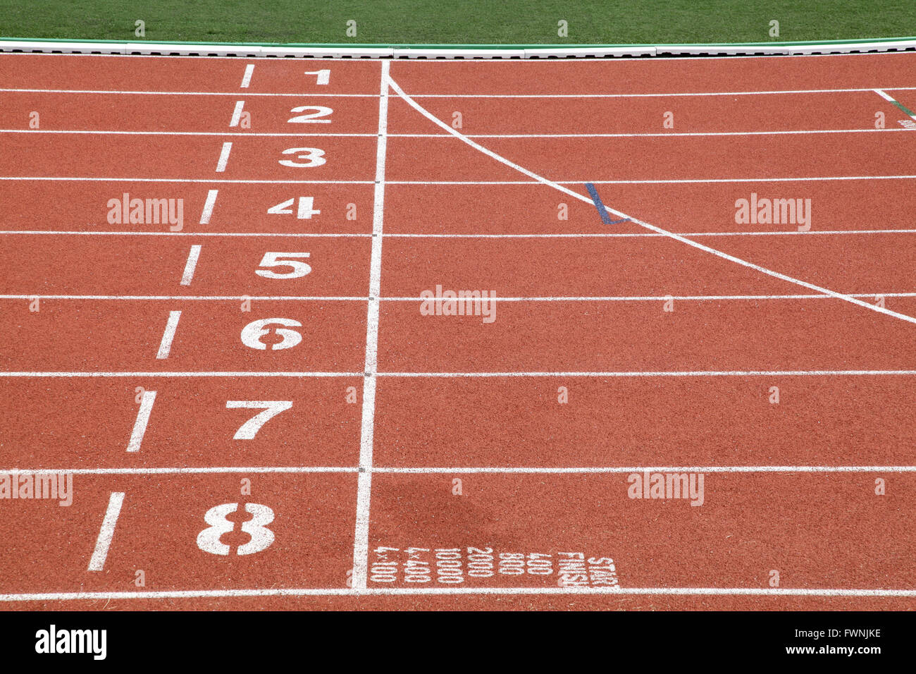 Sprint point finish hi-res stock photography and images - Alamy