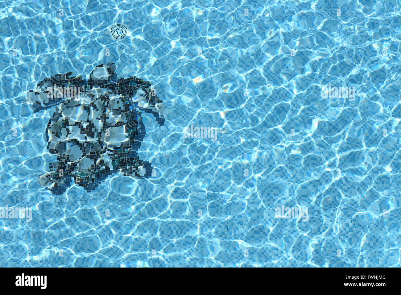 Refection of Blue water in Sea Turtle mosaic Swimming pool with Ripple ...