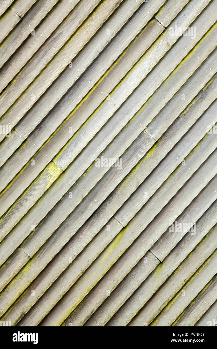 Wood Panel Texture and Background Stock Photo - Alamy