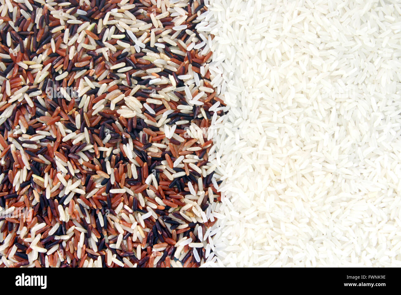 Half japanese ethnicity hi-res stock photography and images - Alamy