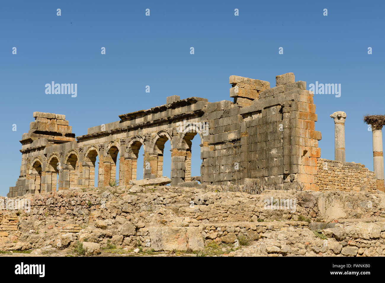 Roman ruins of Volubilis, near Meknès, Morocco Stock Photo - Alamy