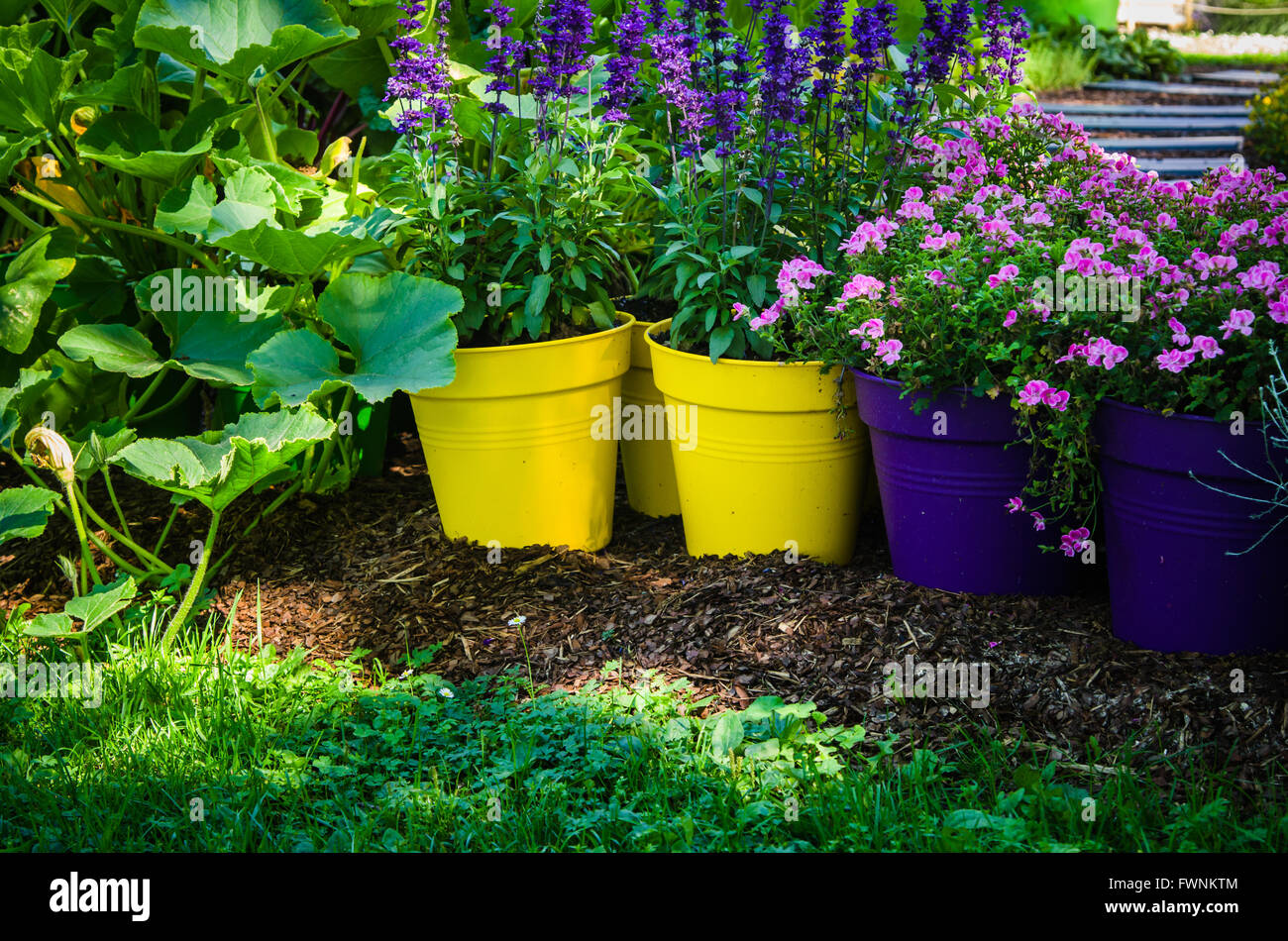 Beautiful stand hi-res stock photography and images - Alamy