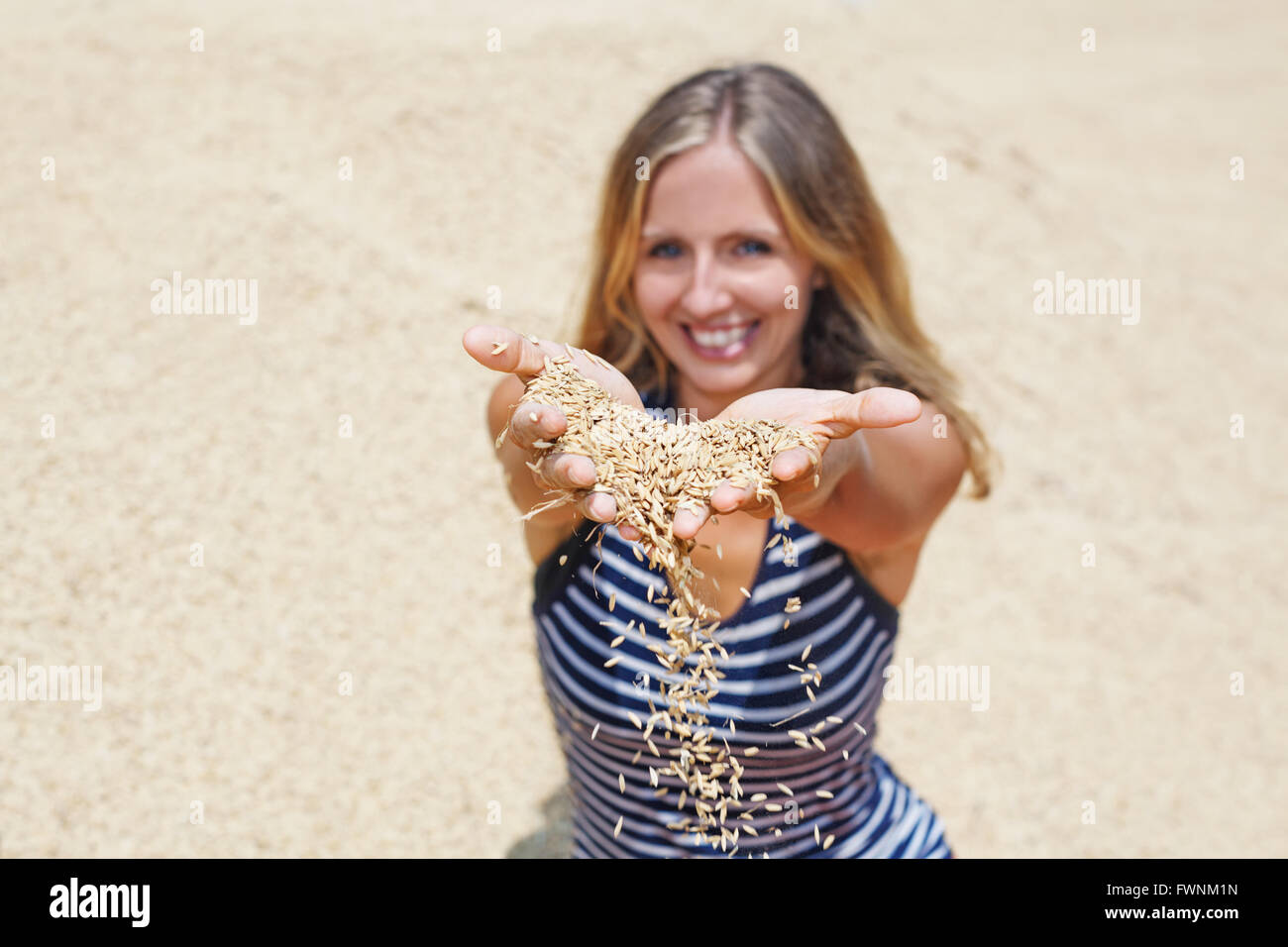 Woman with handful of rough unmilled rice grains in hands on background ...