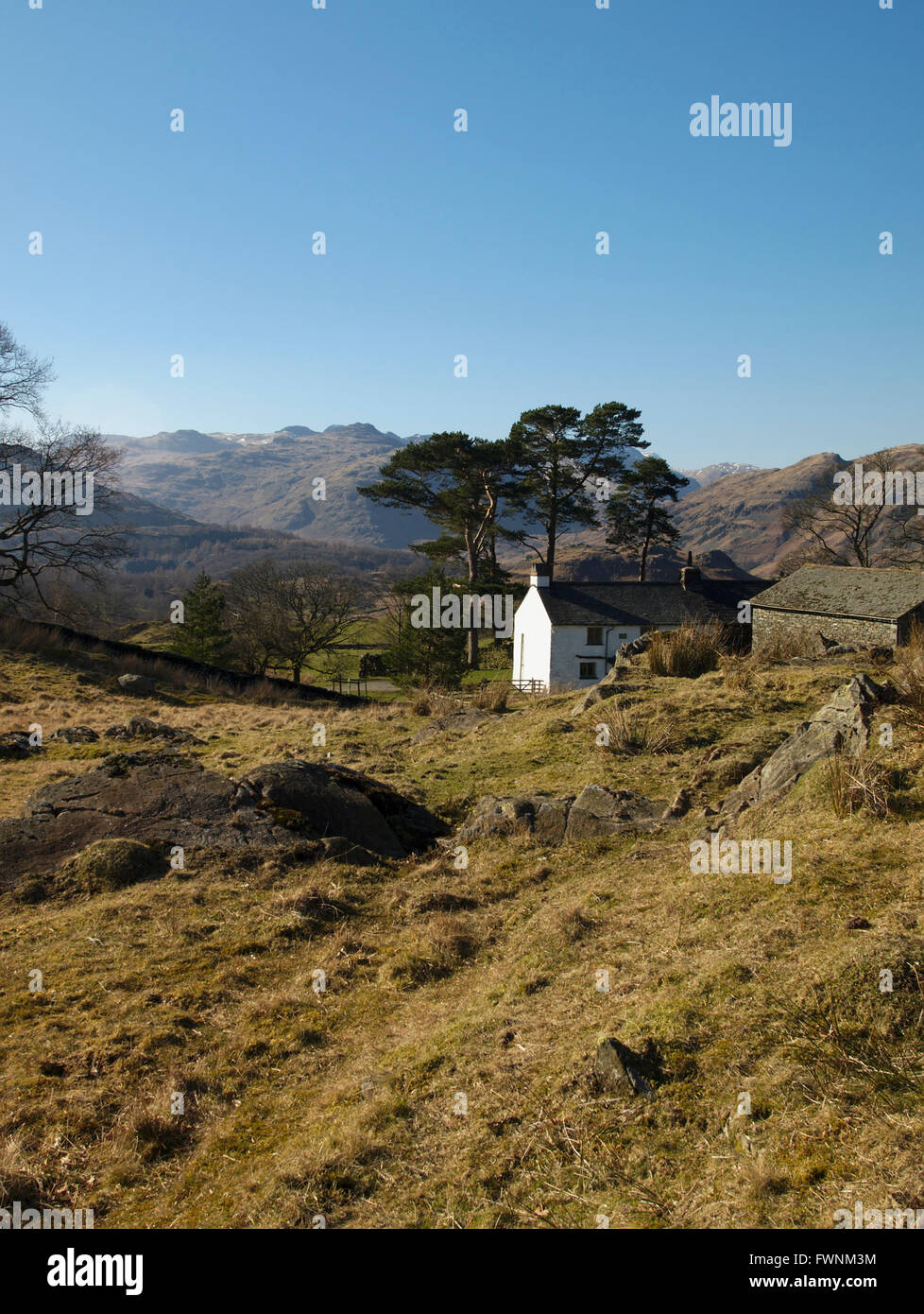 Low Arnside Farm on Black Fell in the English Lake District Stock Photo ...