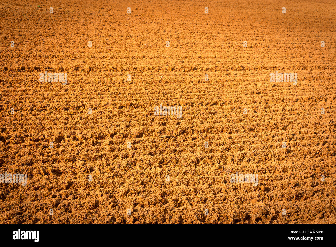 Baseball field hi-res stock photography and images - Alamy