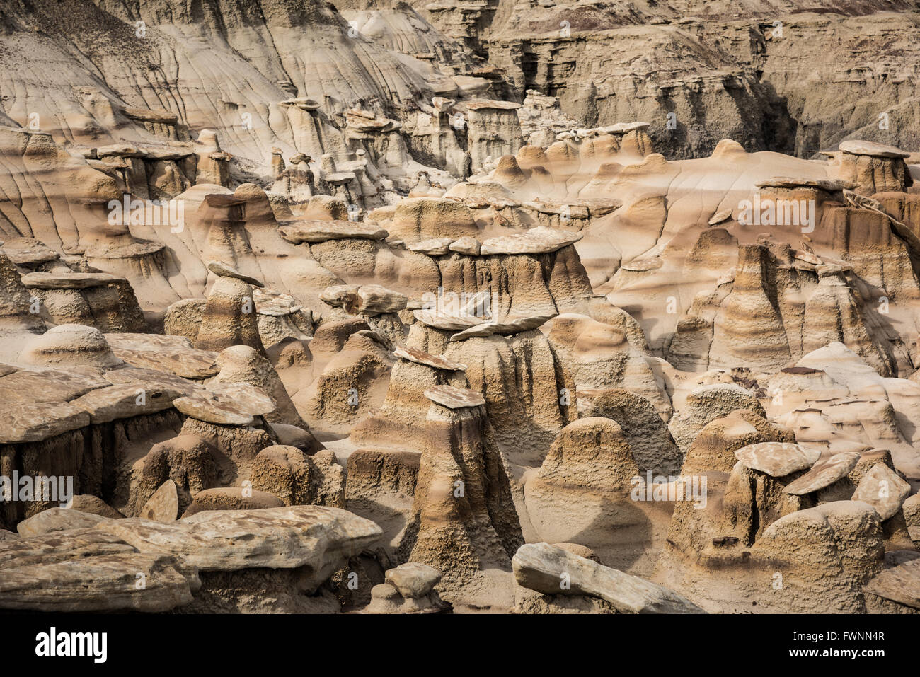 Formations of the Bisti Badlands Stock Photo - Alamy