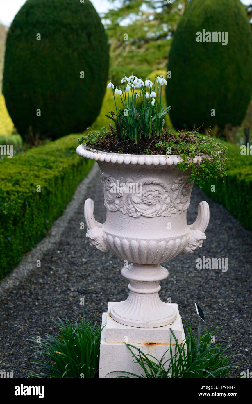 galanthus snowdrop planting urn pot decorative planter scheme Altamont ...