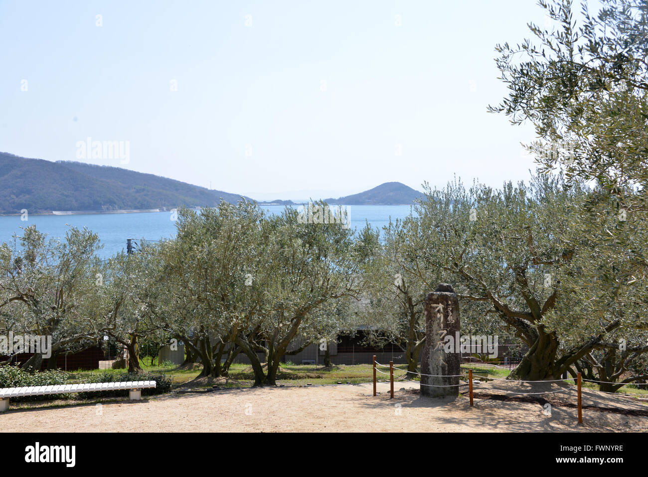 Kagawa, Japan. 20th Mar, 2016. Olive trees are planted at the Olive ...