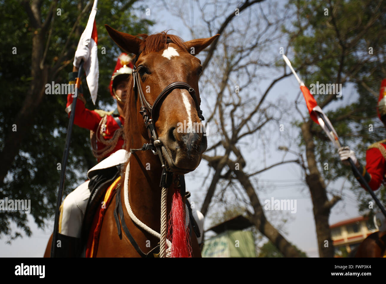 Soldier galloping horse hi-res stock photography and images - Alamy