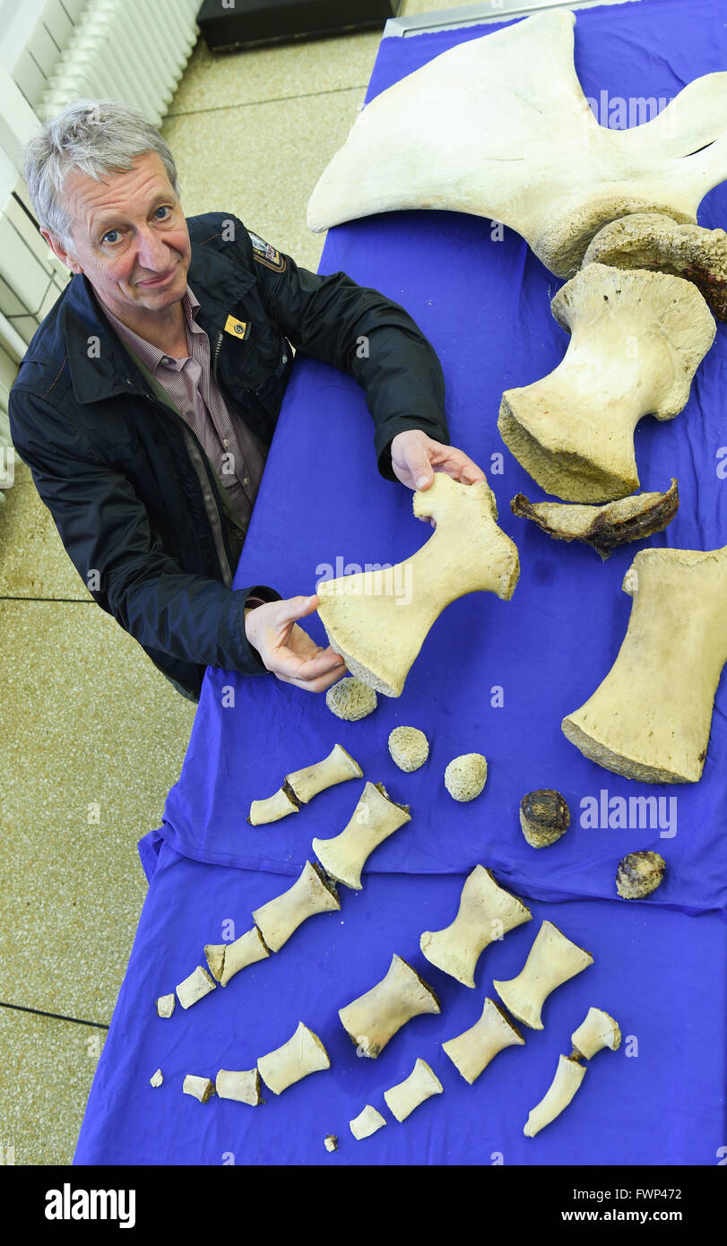 Giessen, Germany. 07th Apr, 2016. Martin Bergmann, professor at the ...