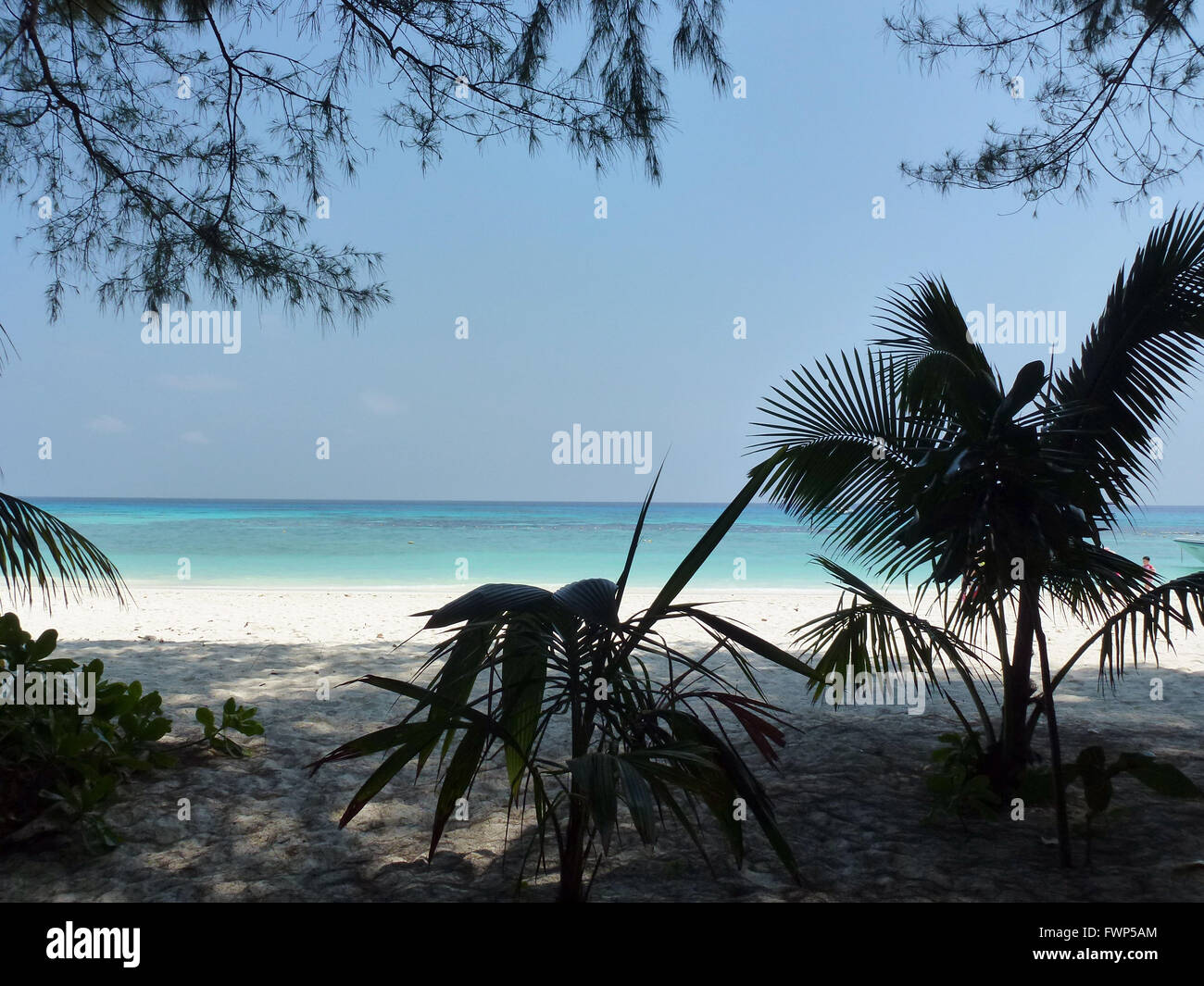 Ocean and beach framed by palm trees on Koh Tachai island, Thailand, 14 ...