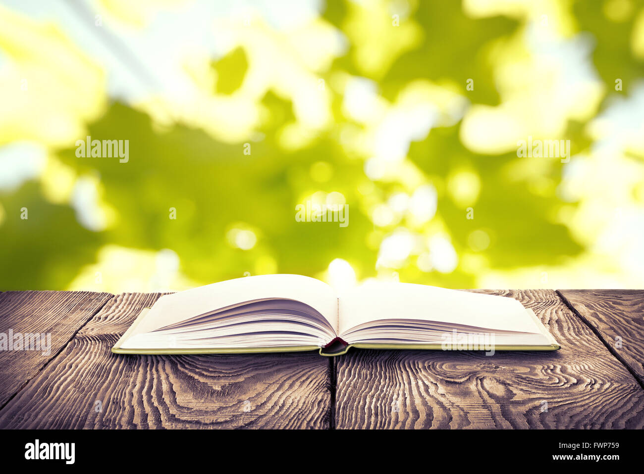 Open book with green cover on the background blurred leaves Stock Photo ...